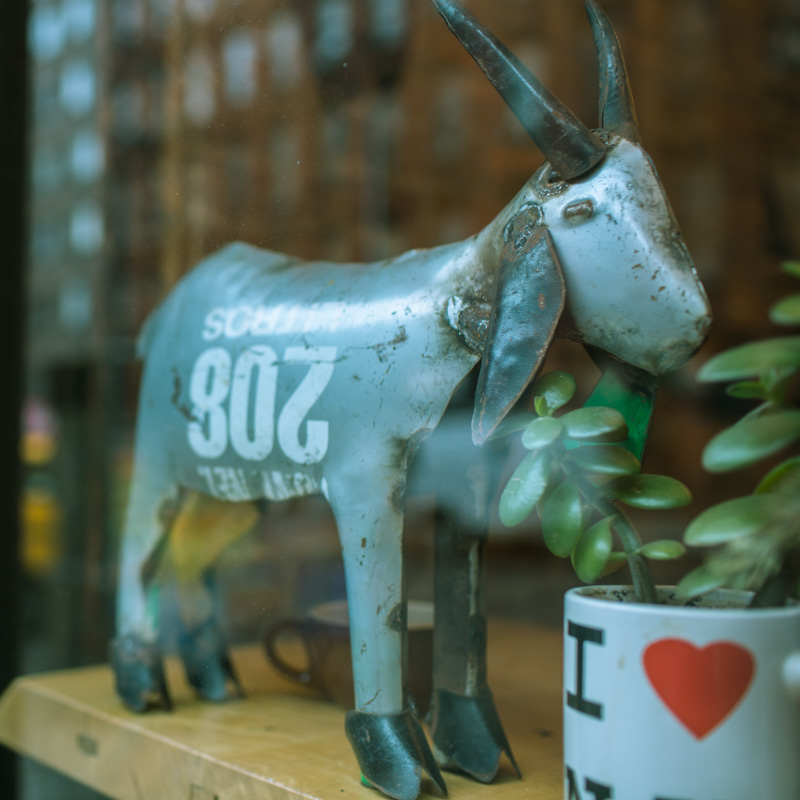 The Jolly Goat – COFFEE BAR